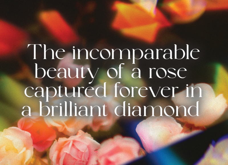 Centennial Diamond – Dana Augustine
