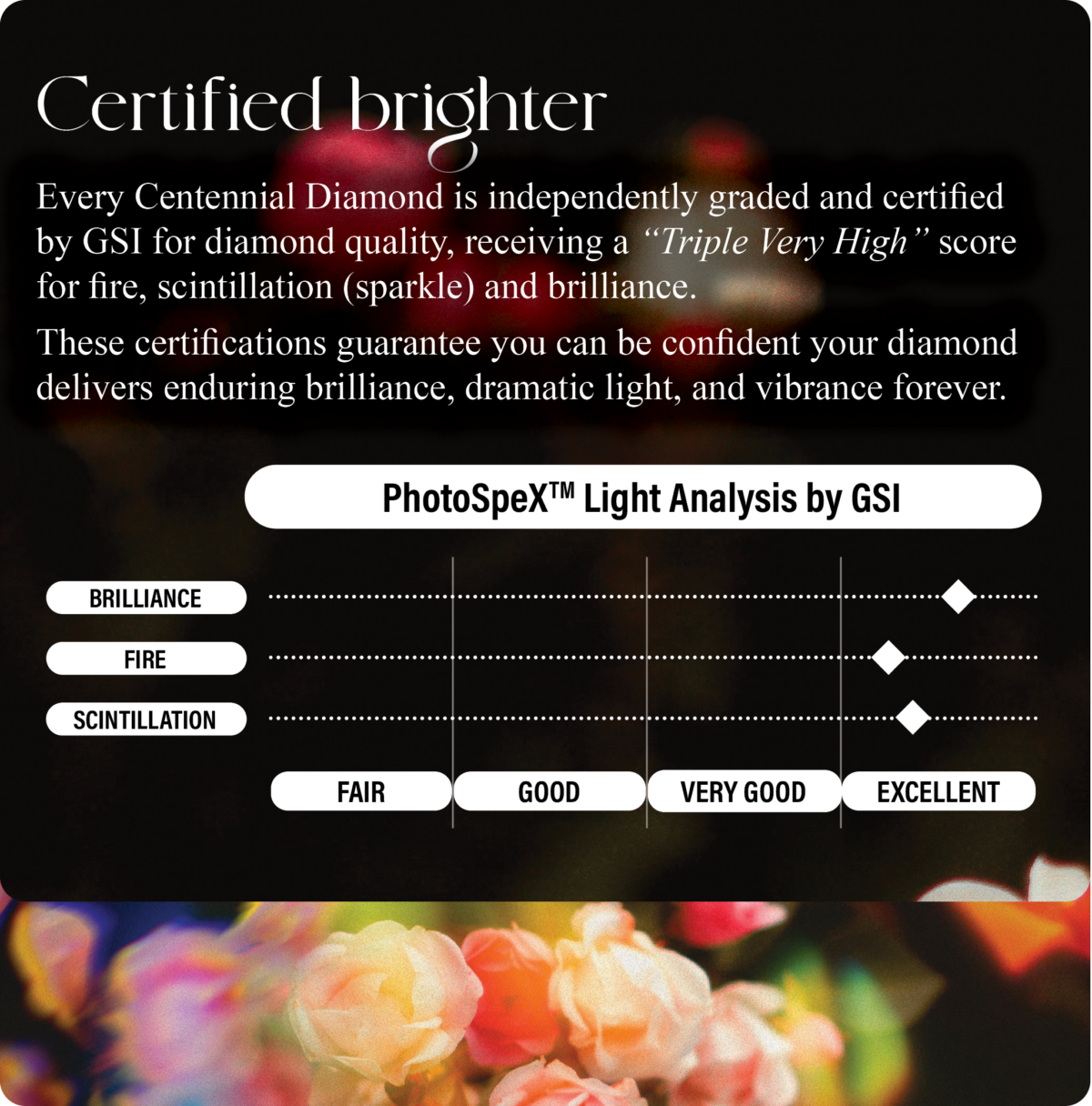 Centennial Diamond – Dana Augustine